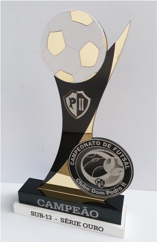 Troféus Esportivos | Nem Placas
